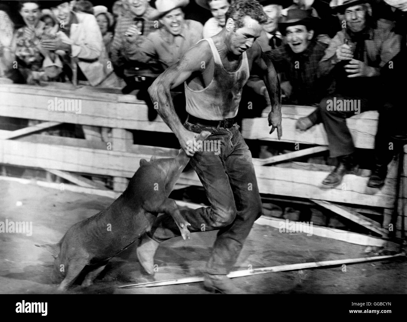 DER WILDESTE UNTER TAUSEND Hud USA 1963 Martin Ritt Hud Bannon (PAUL ...