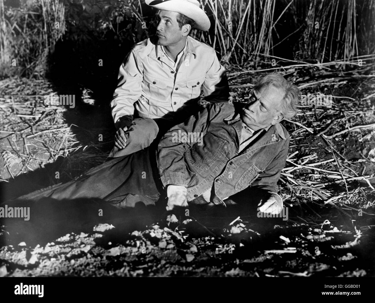 DER WILDESTE UNTER TAUSEND Hud USA 1963 Martin Ritt Hud Bannon (PAUL ...