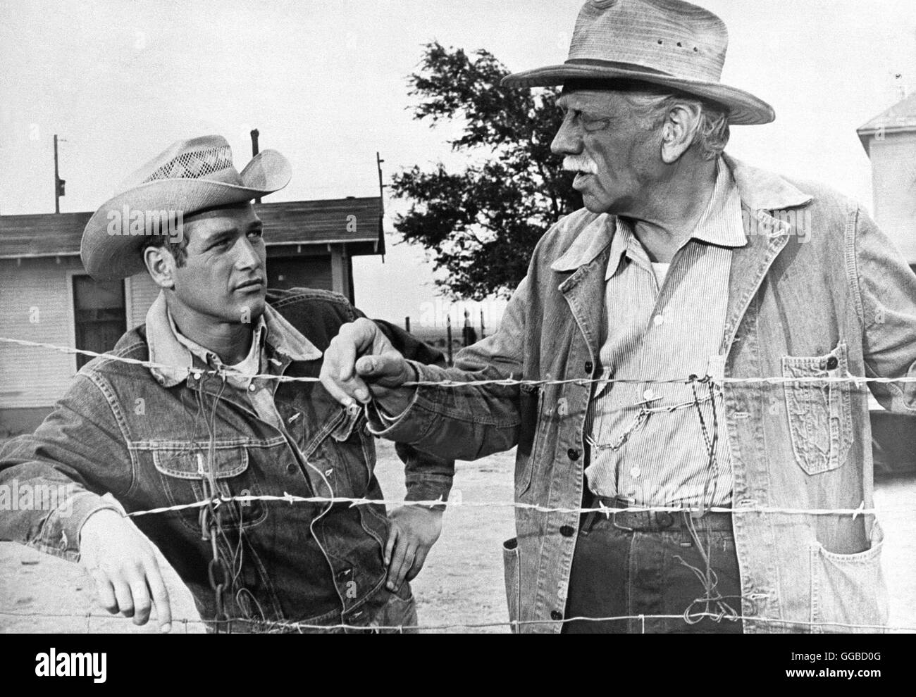 DER WILDESTE UNTER TAUSEND Hud USA 1963 Martin Ritt Hud Bannon (PAUL ...