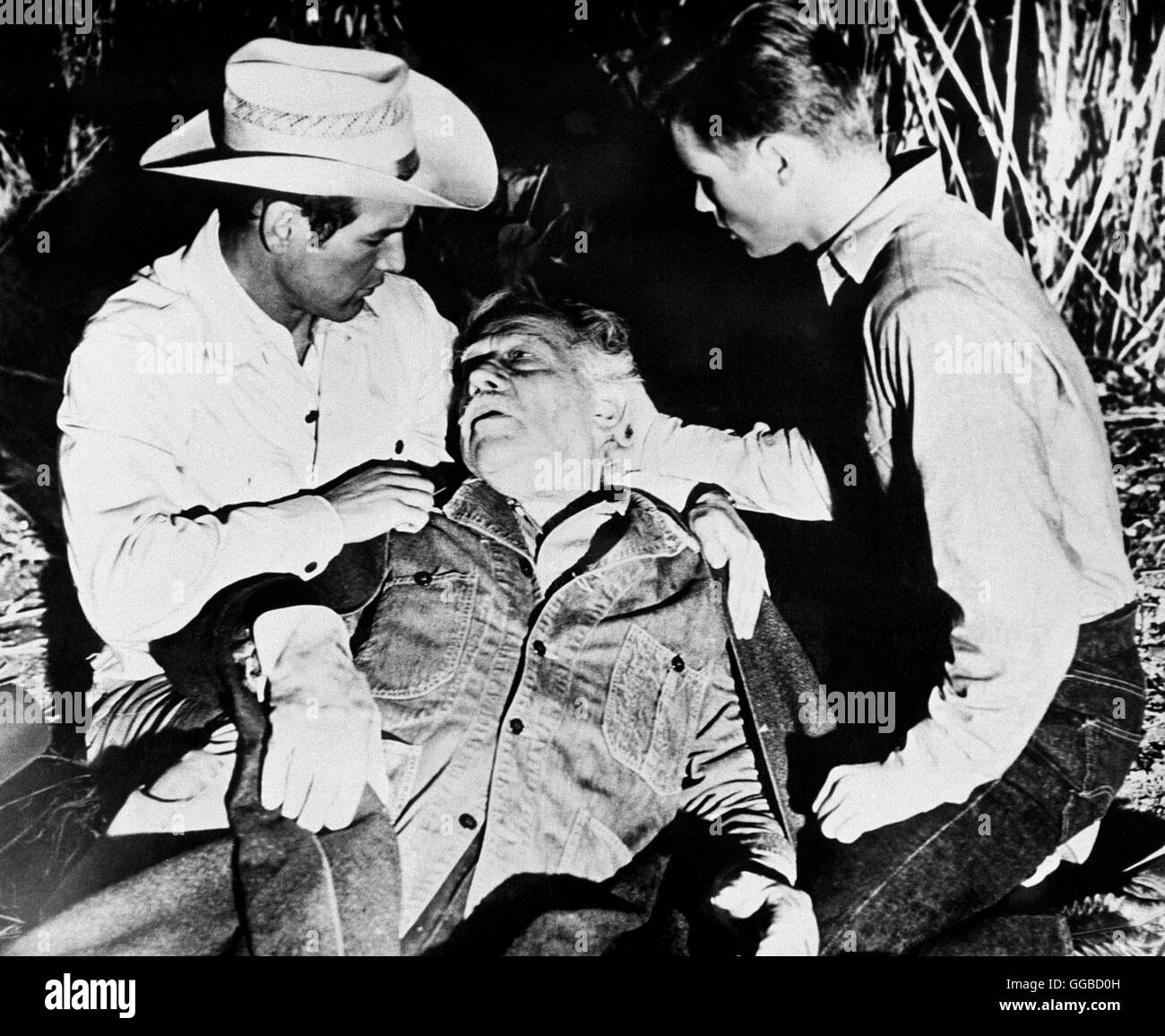 Brandon de wilde hi-res stock photography and images - Alamy