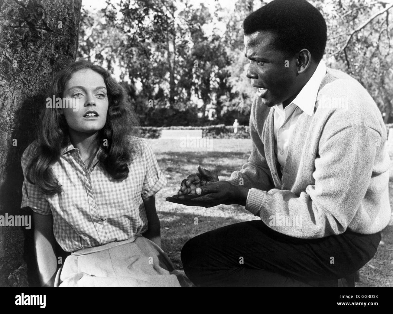 A Patch Of Blue Book