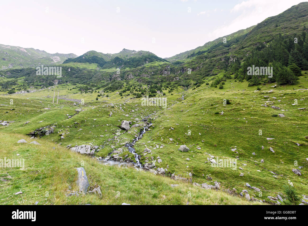 Photo of green capra peak, a small river in fagaras mountains, Romania ...