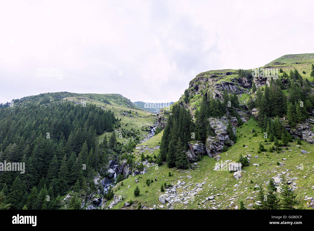 Photo of green capra peak, a small river in fagaras mountains, Romania ...