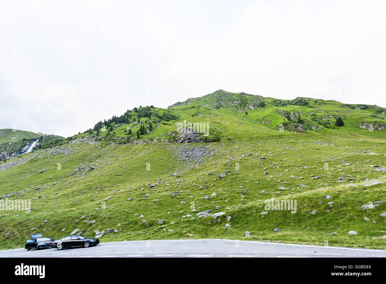 Photo of green capra peak, two cars on a road and a field full of ...