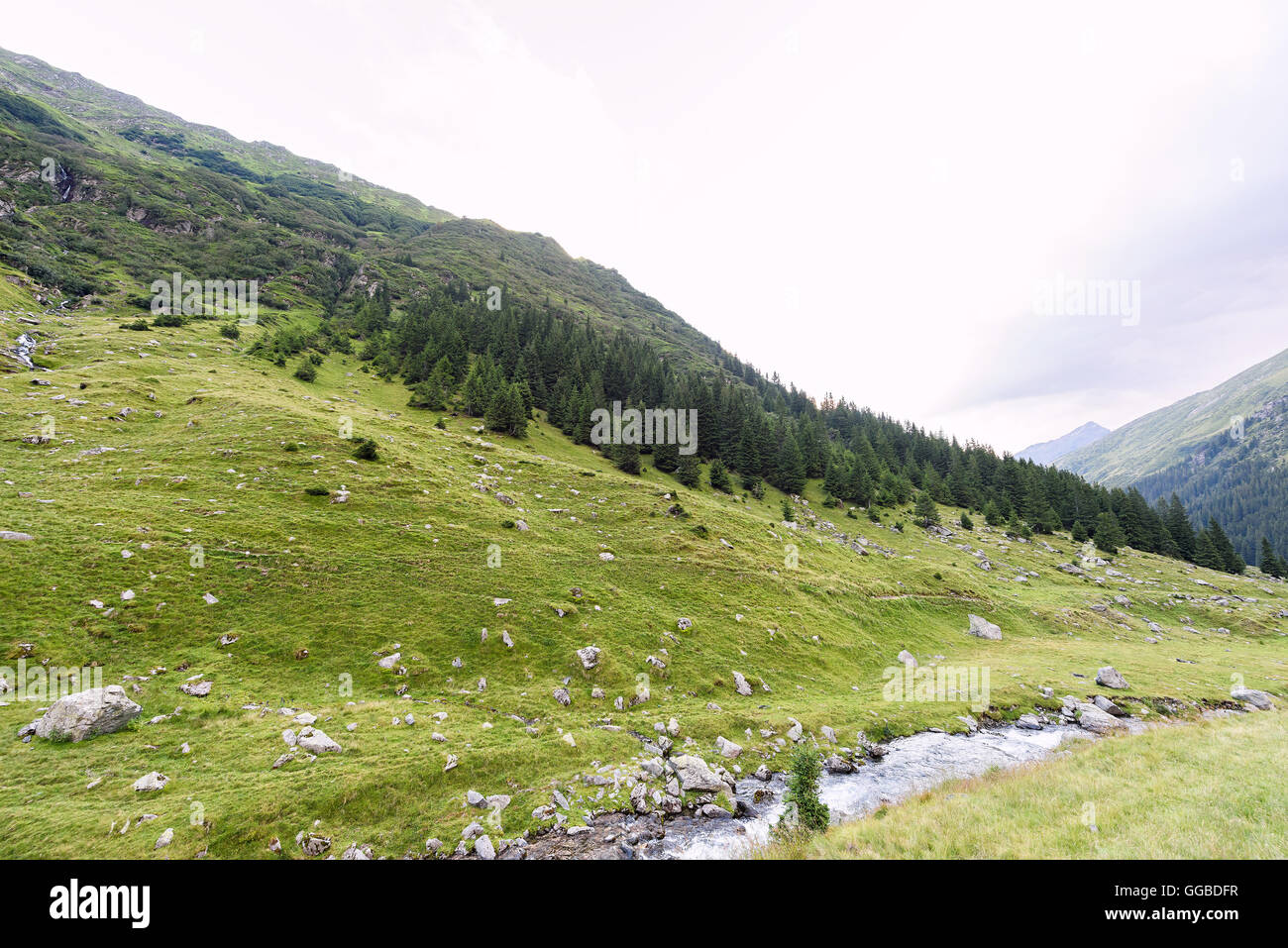 Photo of green capra peak, a small river in fagaras mountains, Romania ...