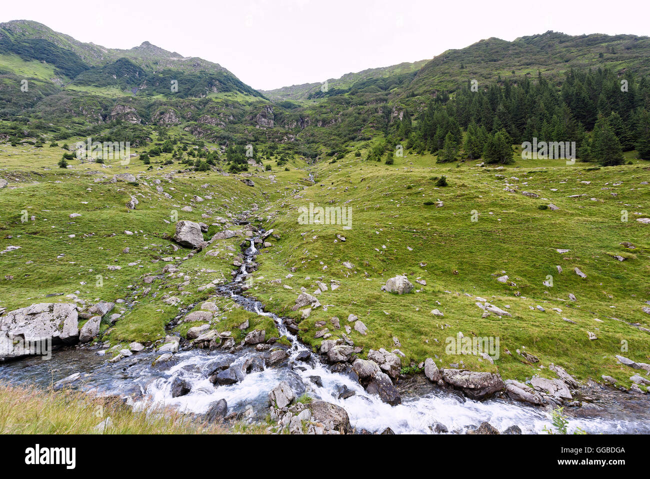 Photo of green capra peak, a small river in fagaras mountains, Romania ...