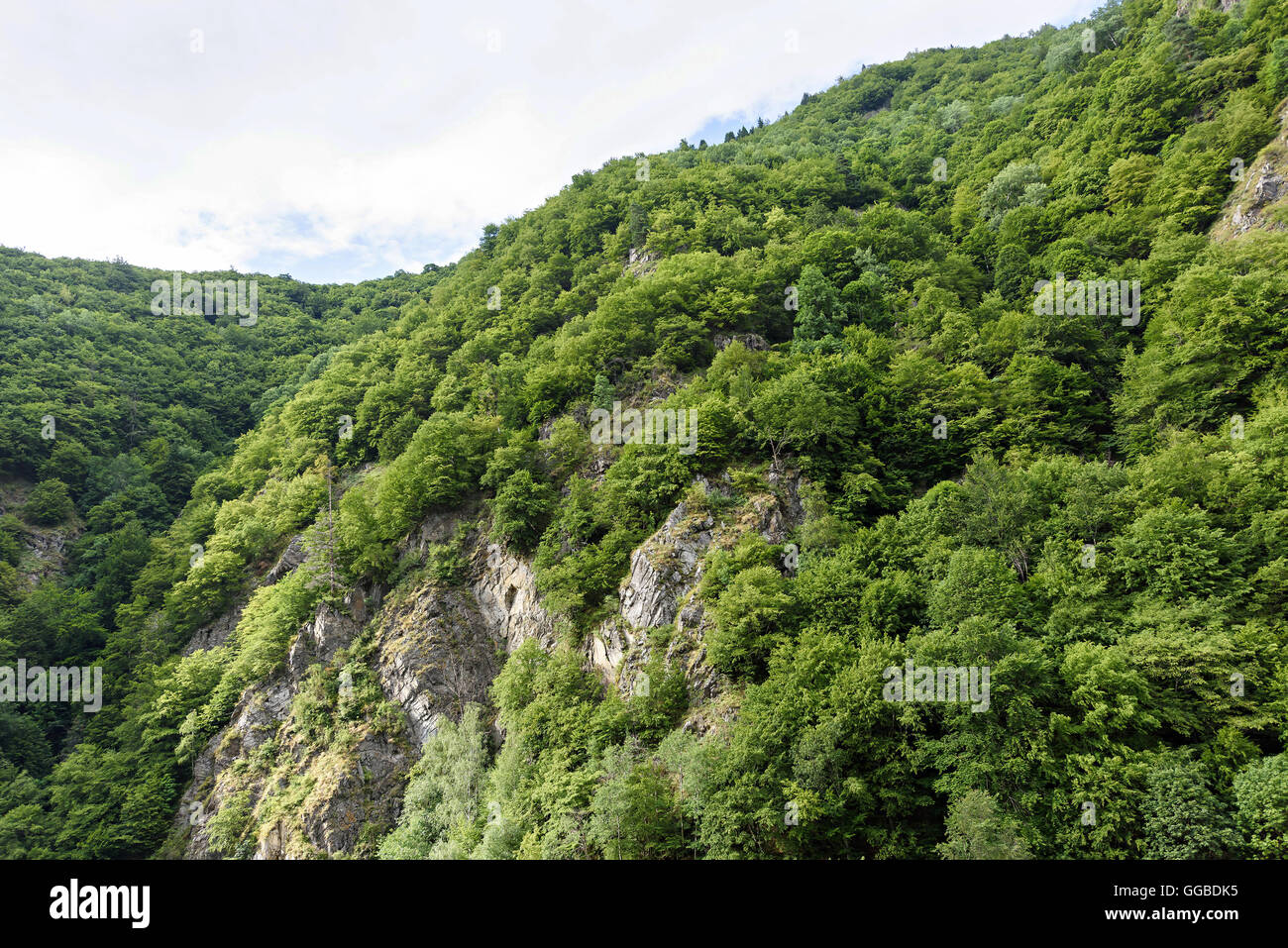 Fagaras romania hi-res stock photography and images - Alamy