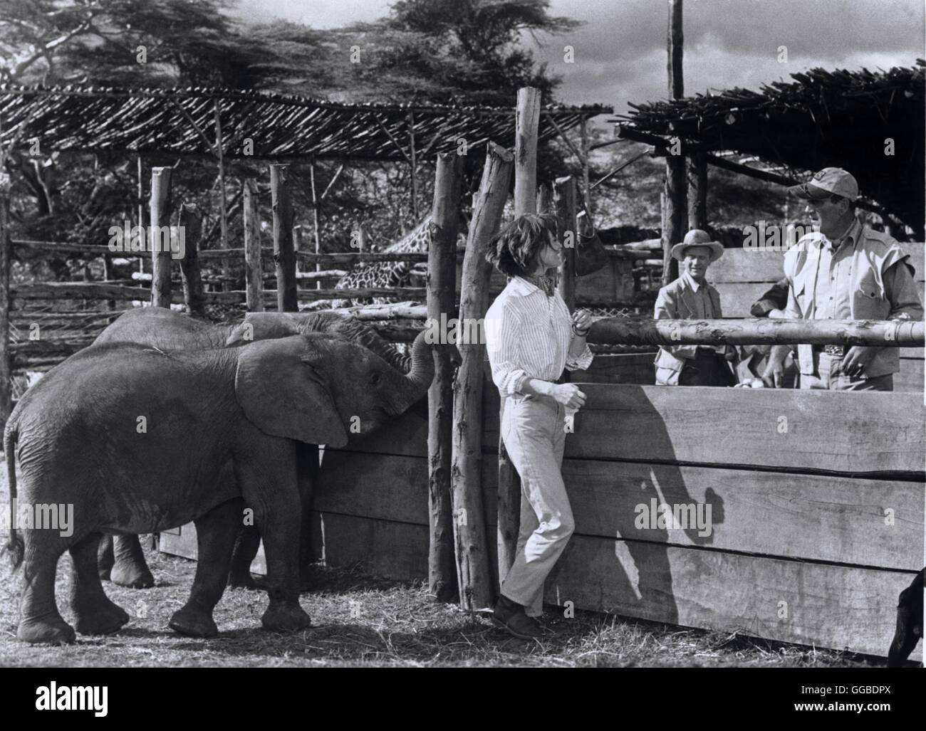 HATARI USA 1962 Howard Hawks Dallas (ELSA MARTINELLI) with the young ...