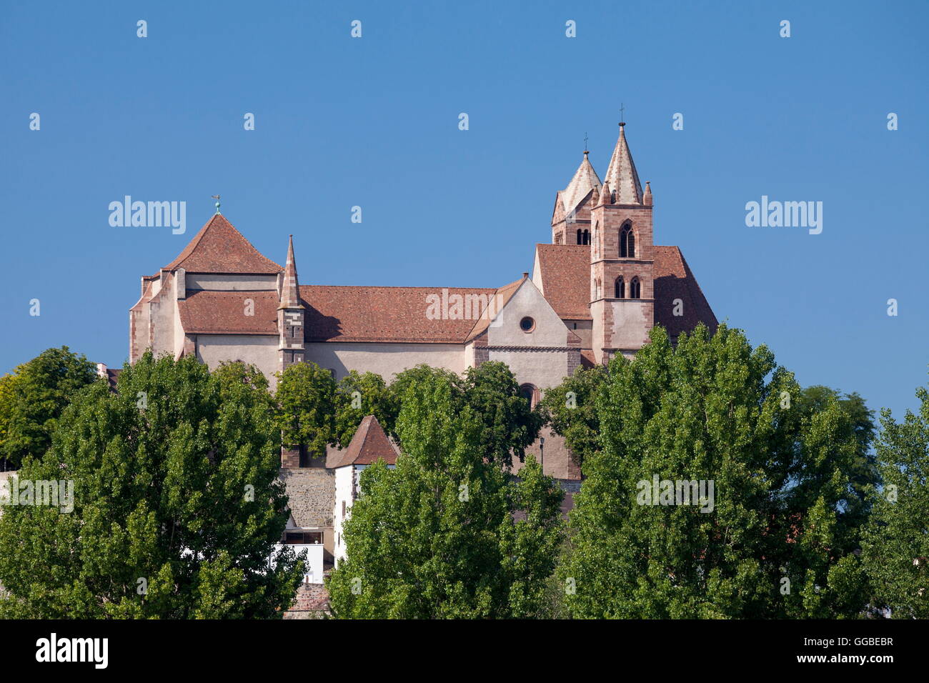 St. Stephen's Cathedral, Breisach am Rhein Stock Photo - Alamy