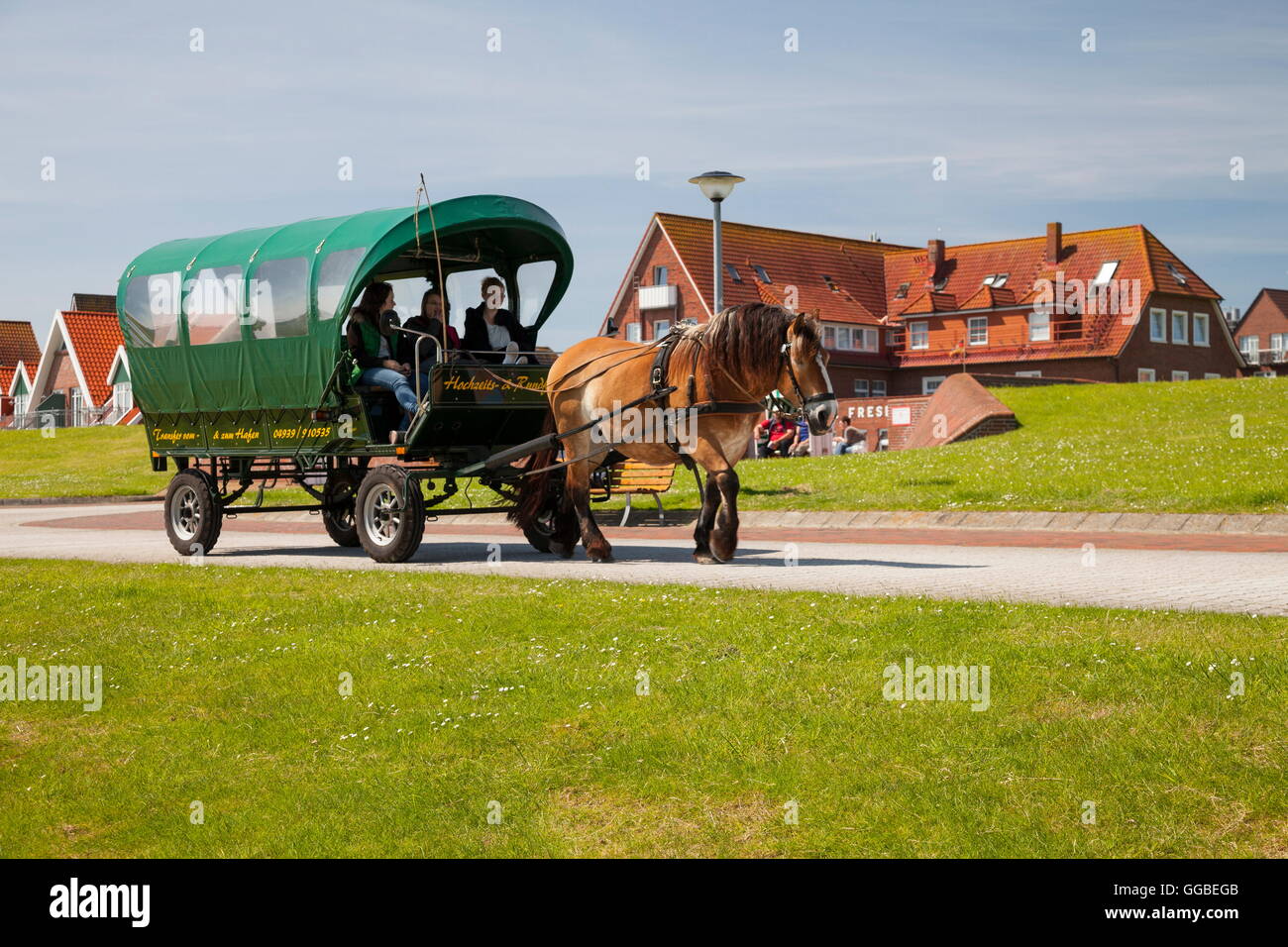 Horse drawn bus northern hi-res stock photography and images - Alamy