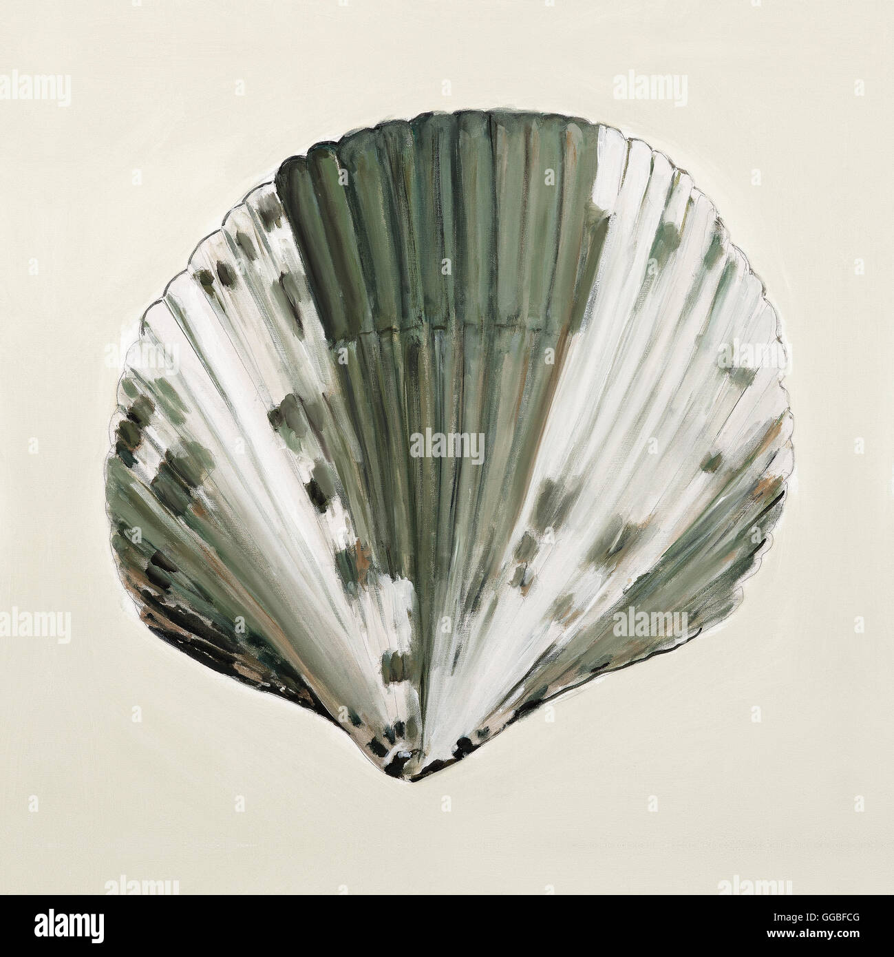 sea shell in pastel colors - oil painting Stock Photo - Alamy