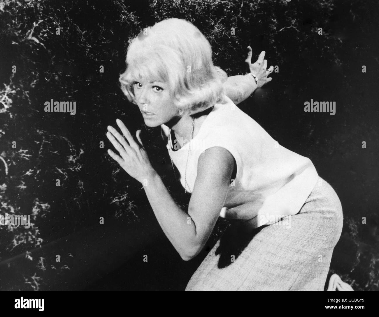 Move over, Darling / DORIS DAY in 'Move over, Darling' (1963) BB36046 ...