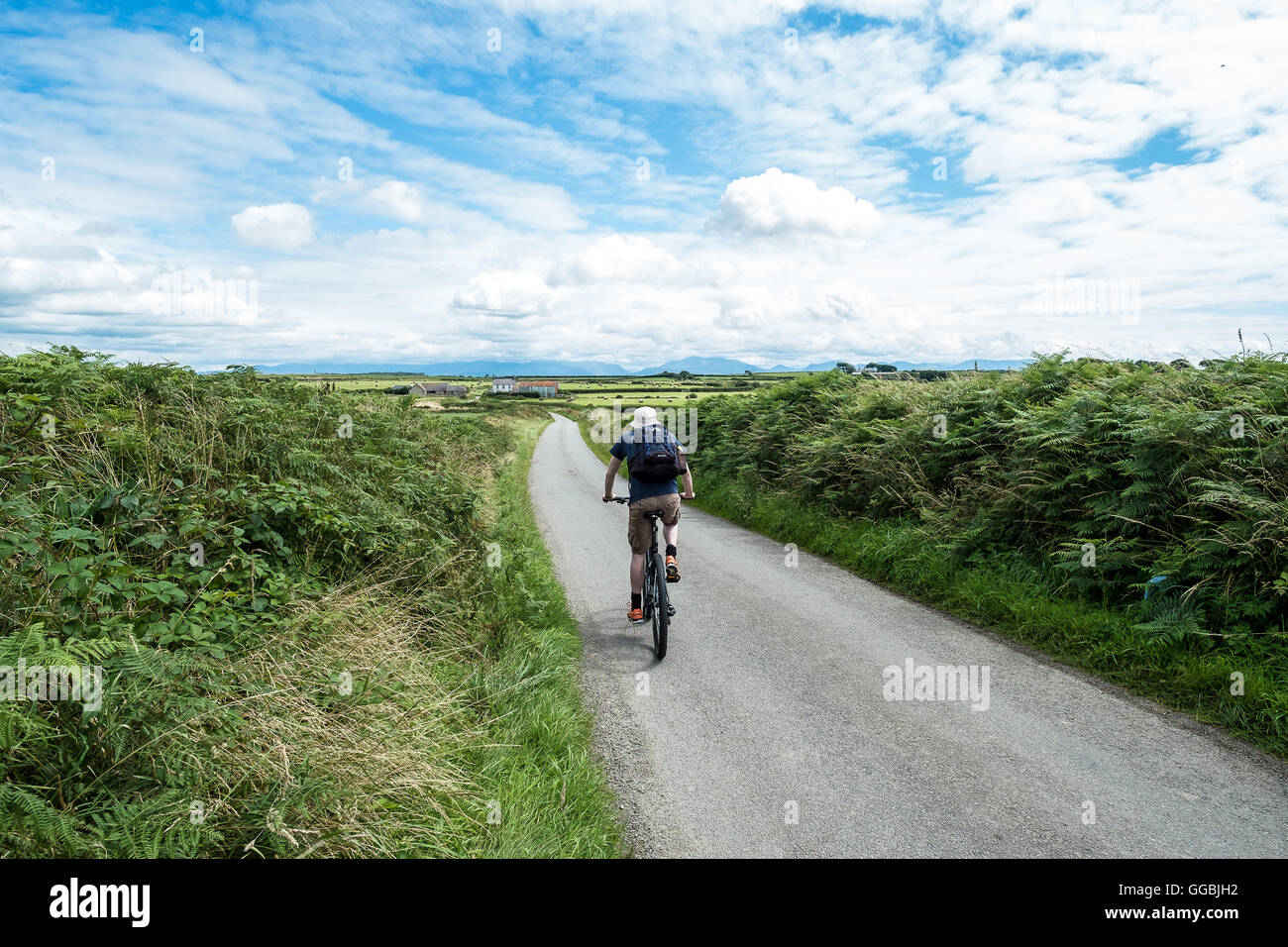 Interior of anglesey hi-res stock photography and images - Alamy