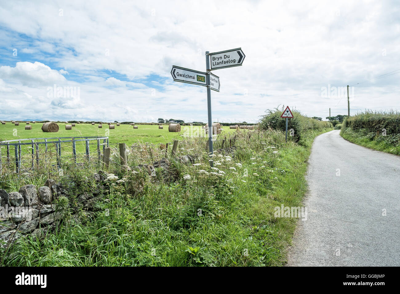 Junction country road markings hi-res stock photography and images - Alamy