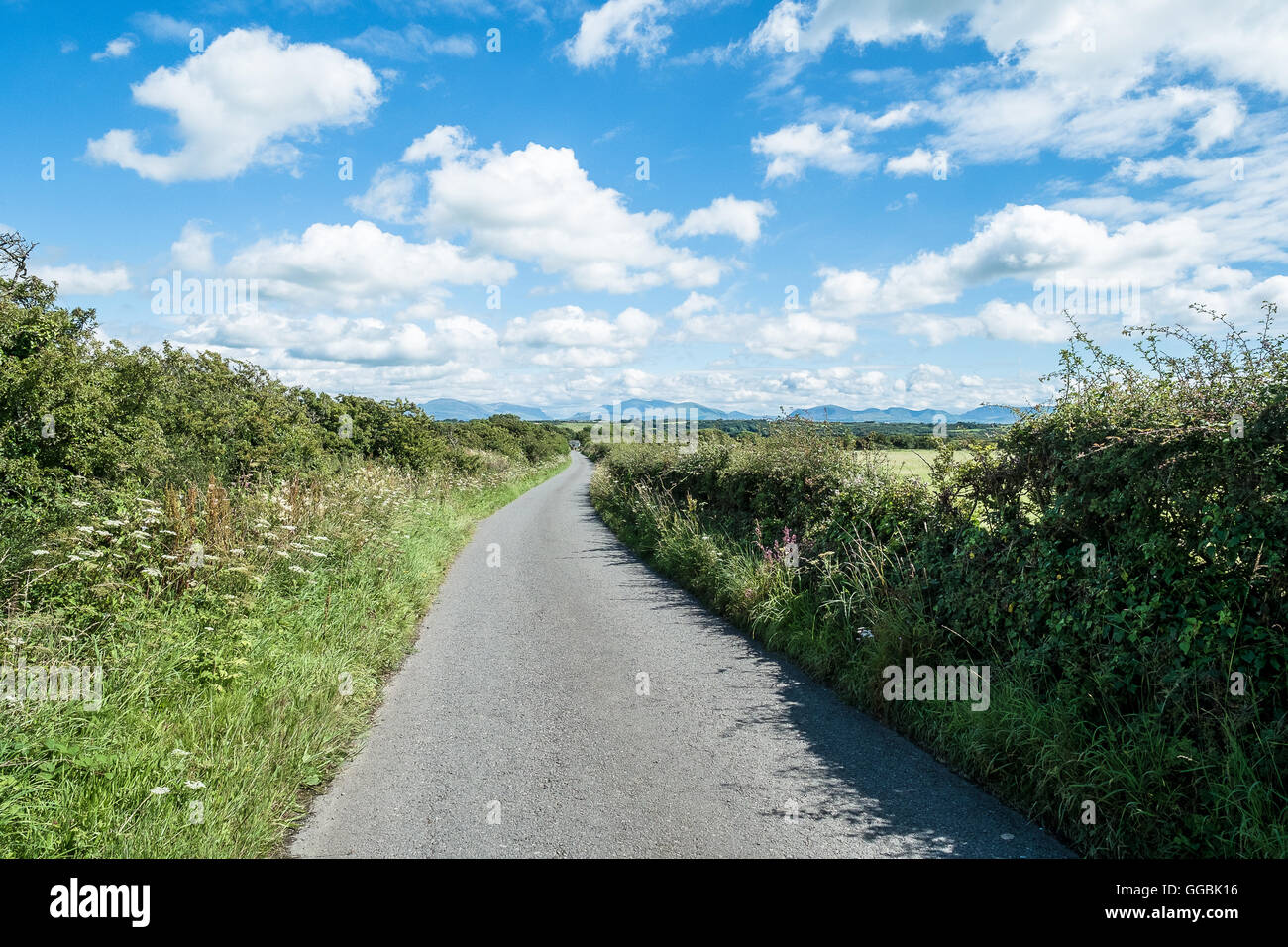 Windy day cycling hi-res stock photography and images - Alamy