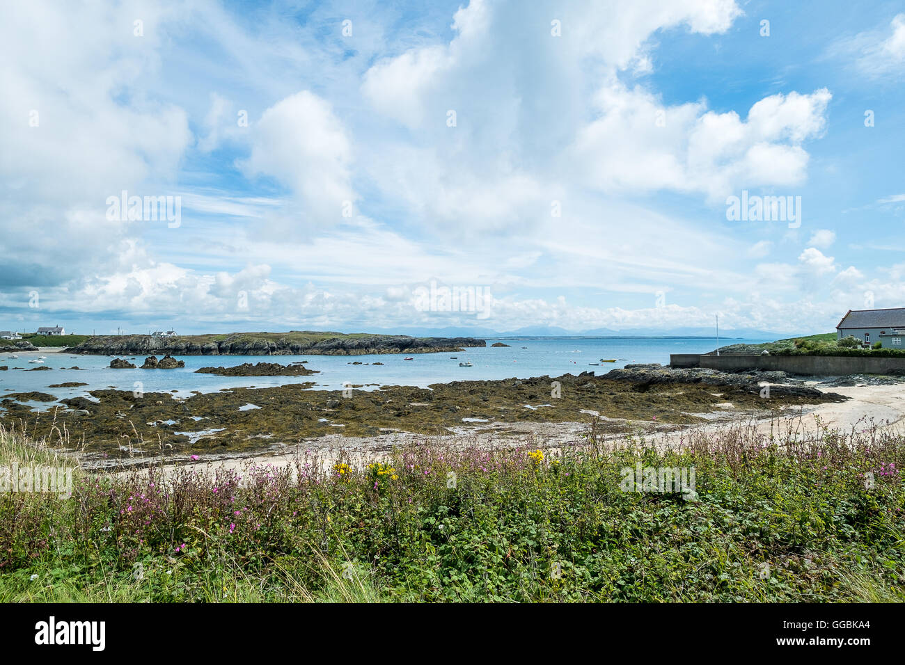Silver Bay at Rhoscolyn at low tide, Anglesey, Rhosneigr, North Wales ...