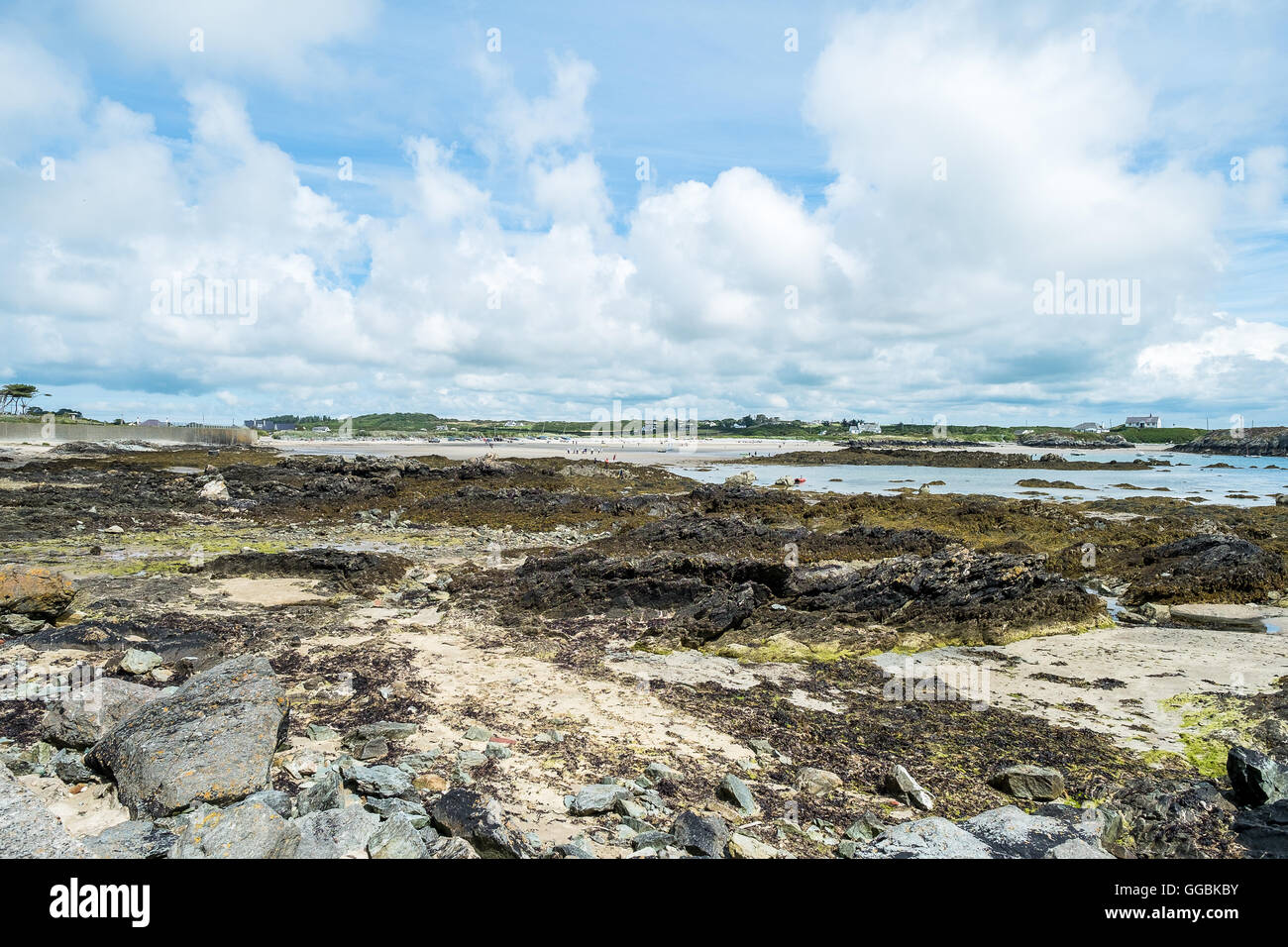 Silver Bay at Rhoscolyn at low tide, Anglesey, Rhosneigr, North Wales ...