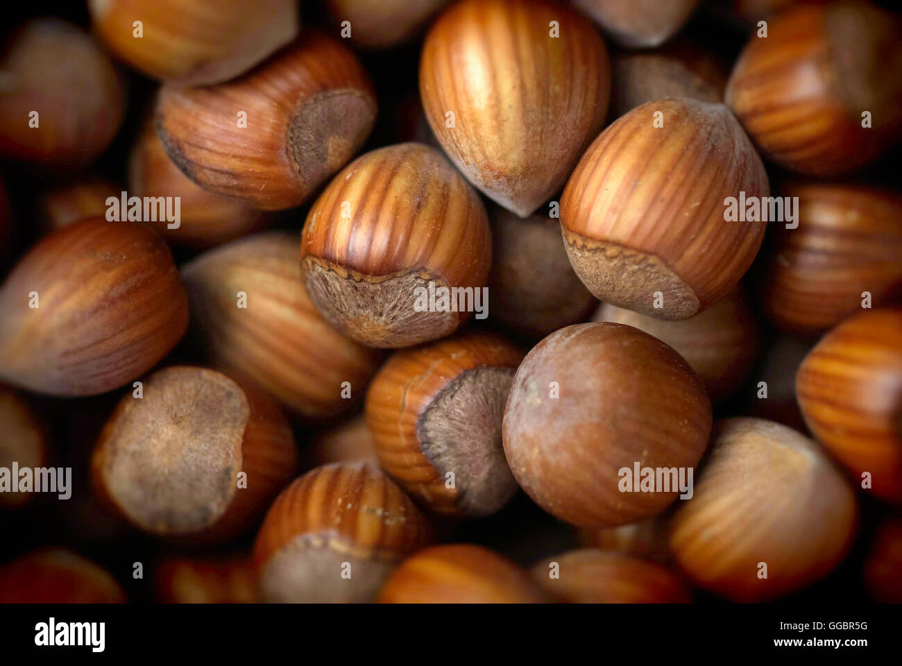 Hazelnuts in shells Stock Photo - Alamy