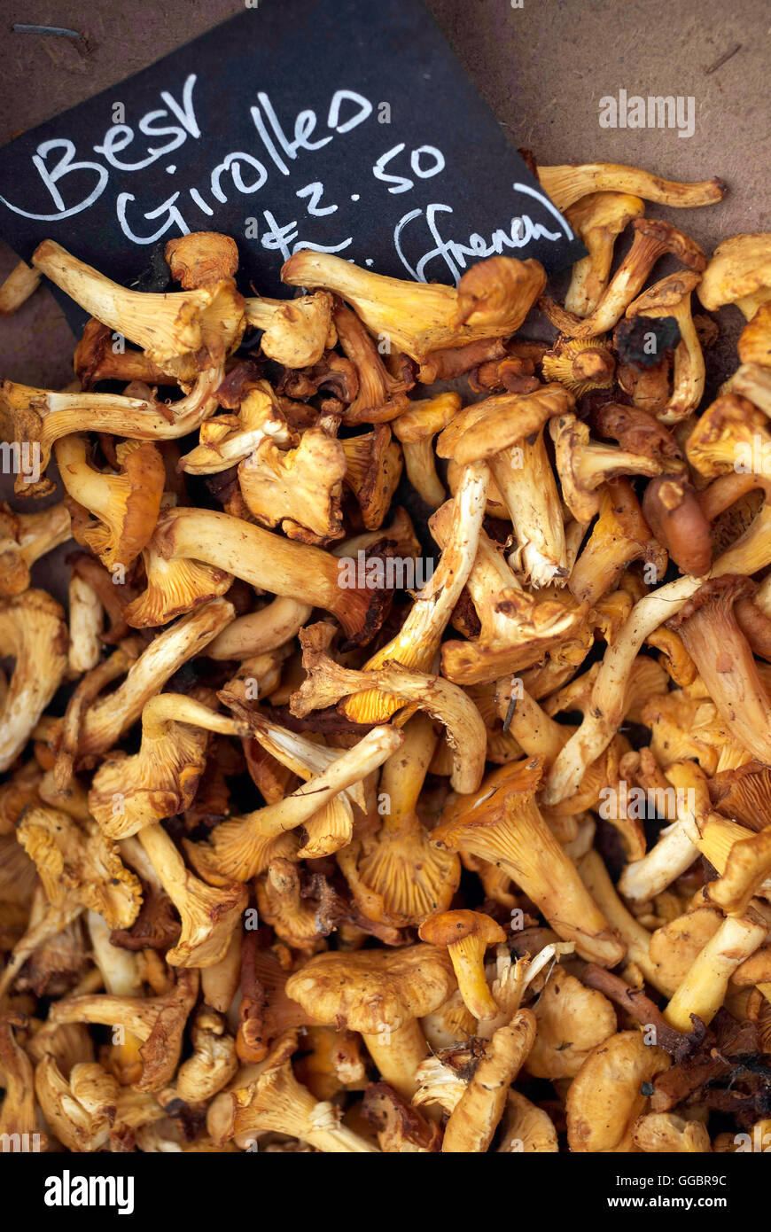 Girolles at market Stock Photo - Alamy