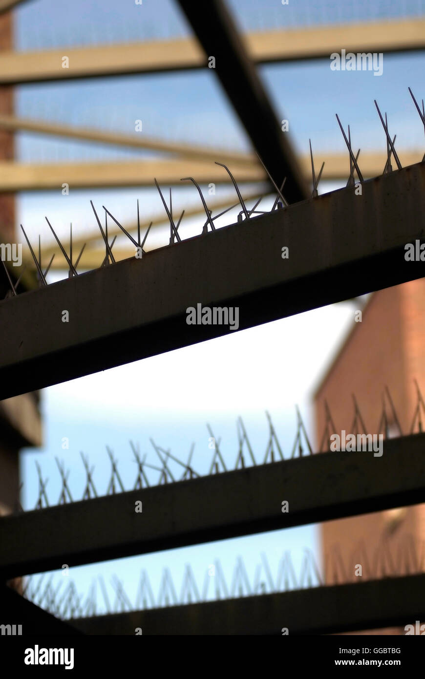 security fence / spiked Stock Photo - Alamy