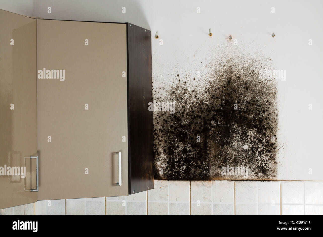 Mold behind kitchen cabinets Stock Photo - Alamy