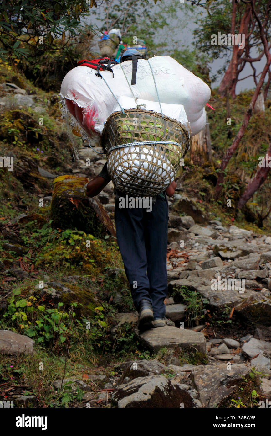 Man carrying heavy load hi-res stock photography and images - Alamy