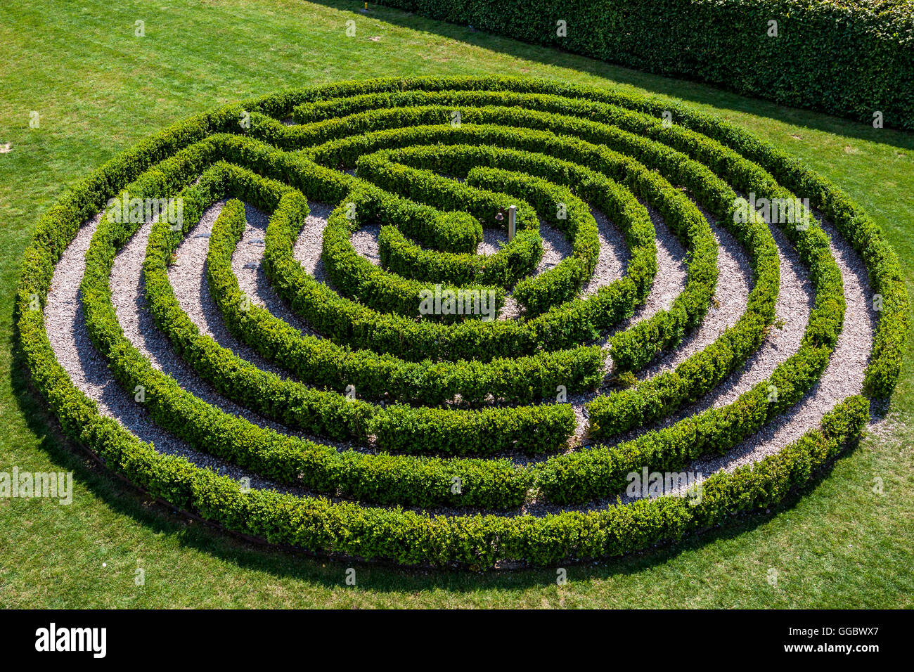 Green bushes circular labyrinth, hedge maze. Top view Stock Photo ...