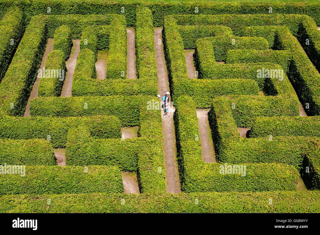 People walking on green bushes labyrinth, hedge maze Stock Photo - Alamy
