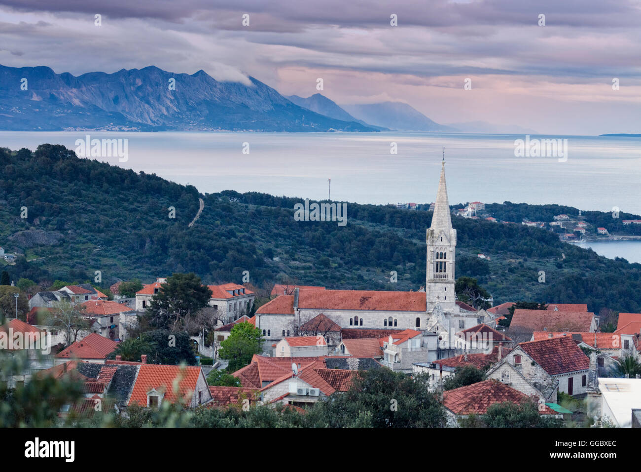 King of dalmatia hi-res stock photography and images - Alamy