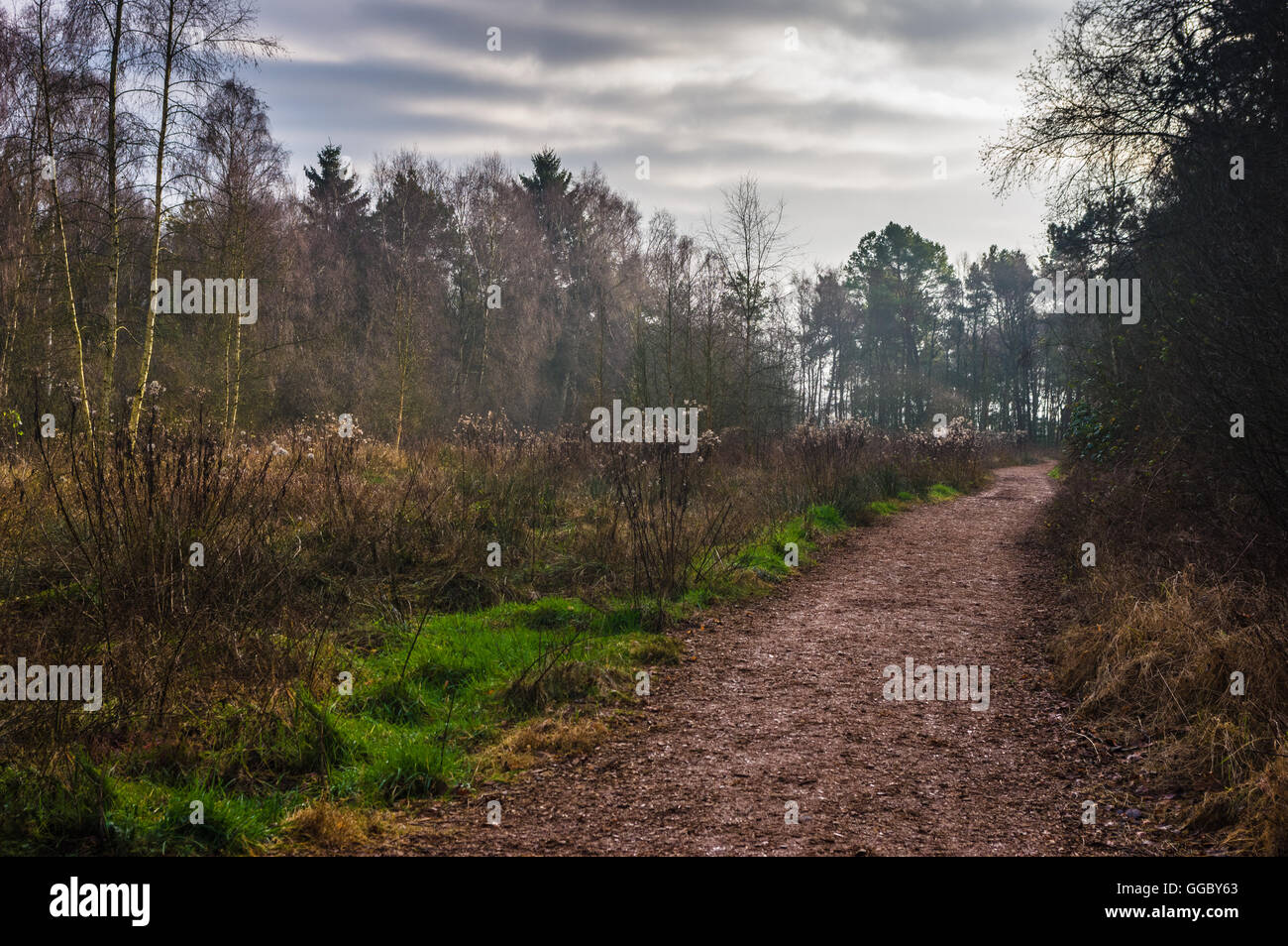 There are two types of moors, the "Niedermoor", which you will find in ...