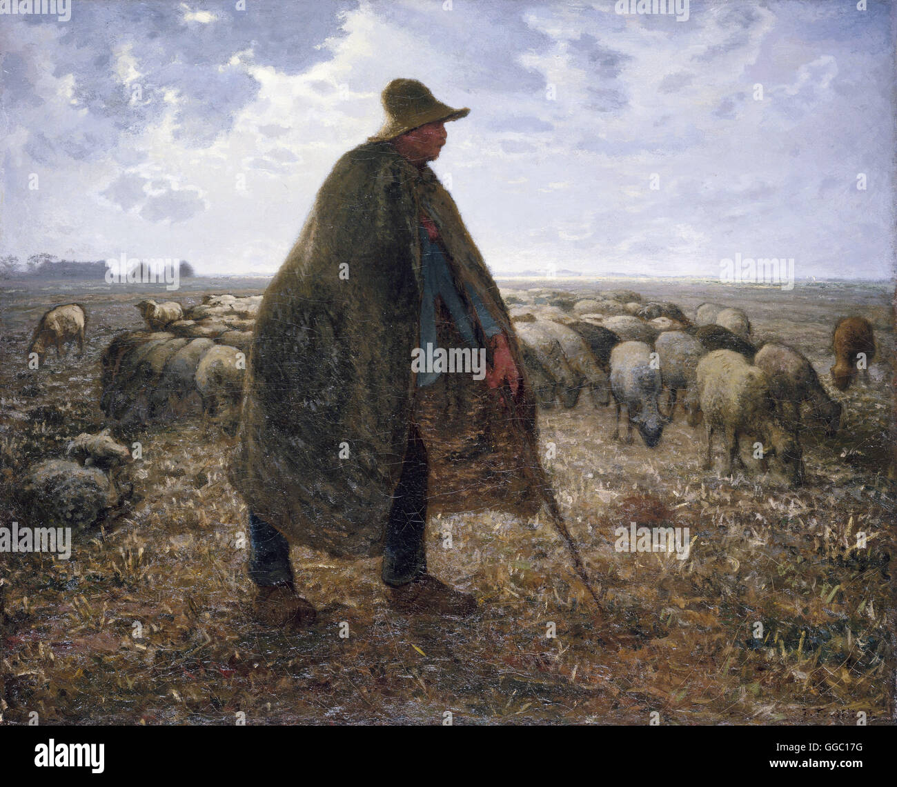 Shepherd tending flock sheep hi-res stock photography and images - Alamy