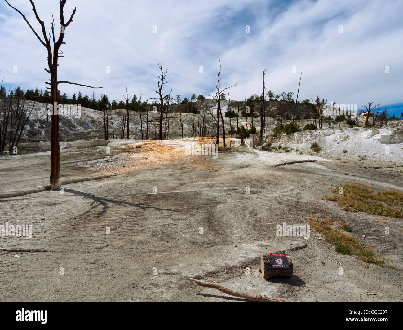 Angel Terrace, Mammoth Hot Springs, Upper Terraces, Yellowstone ...