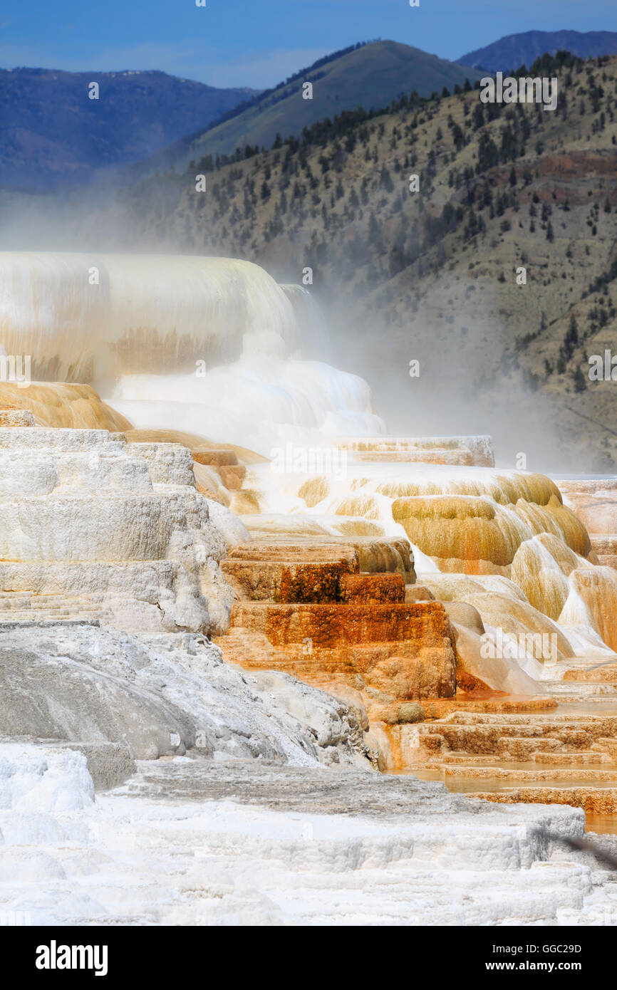Canary Spring, Mammoth Hot Springs, Upper Terraces, Yellowstone ...