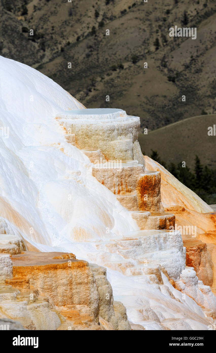 Canary Spring, Mammoth Hot Springs, Upper Terraces, Yellowstone ...