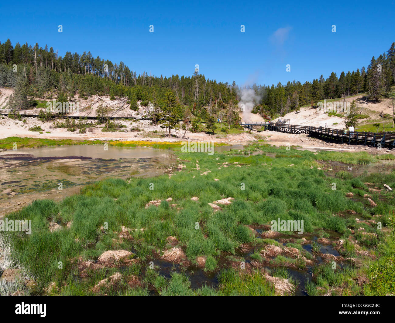 Mud Volcano Area, Yellowstone National Park Stock Photo - Alamy Mud Volcano Area, Yellowstone National Park Stock Photo - Alamy