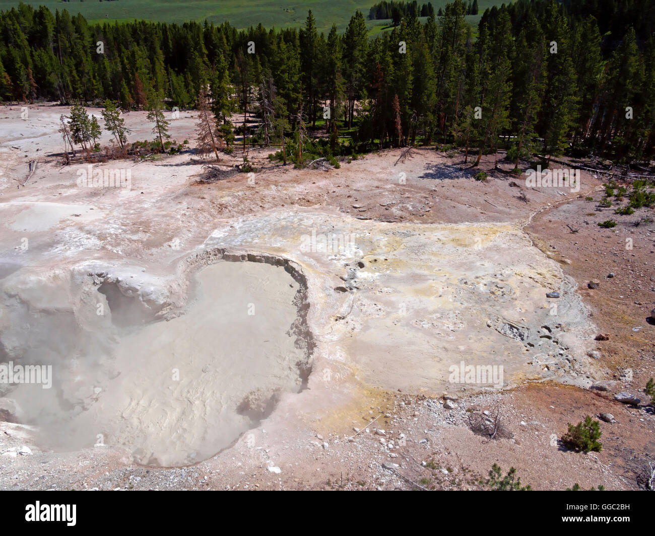 Hot spring yellowstone hi-res stock photography and images - Alamy