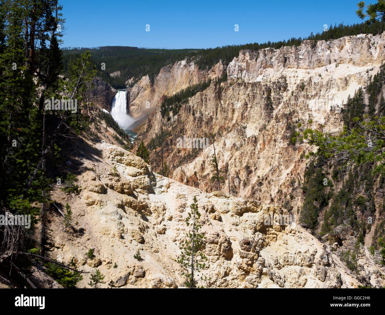 Lower Falls from Artist Point, Yellowstone National Park Stock Photo ...
