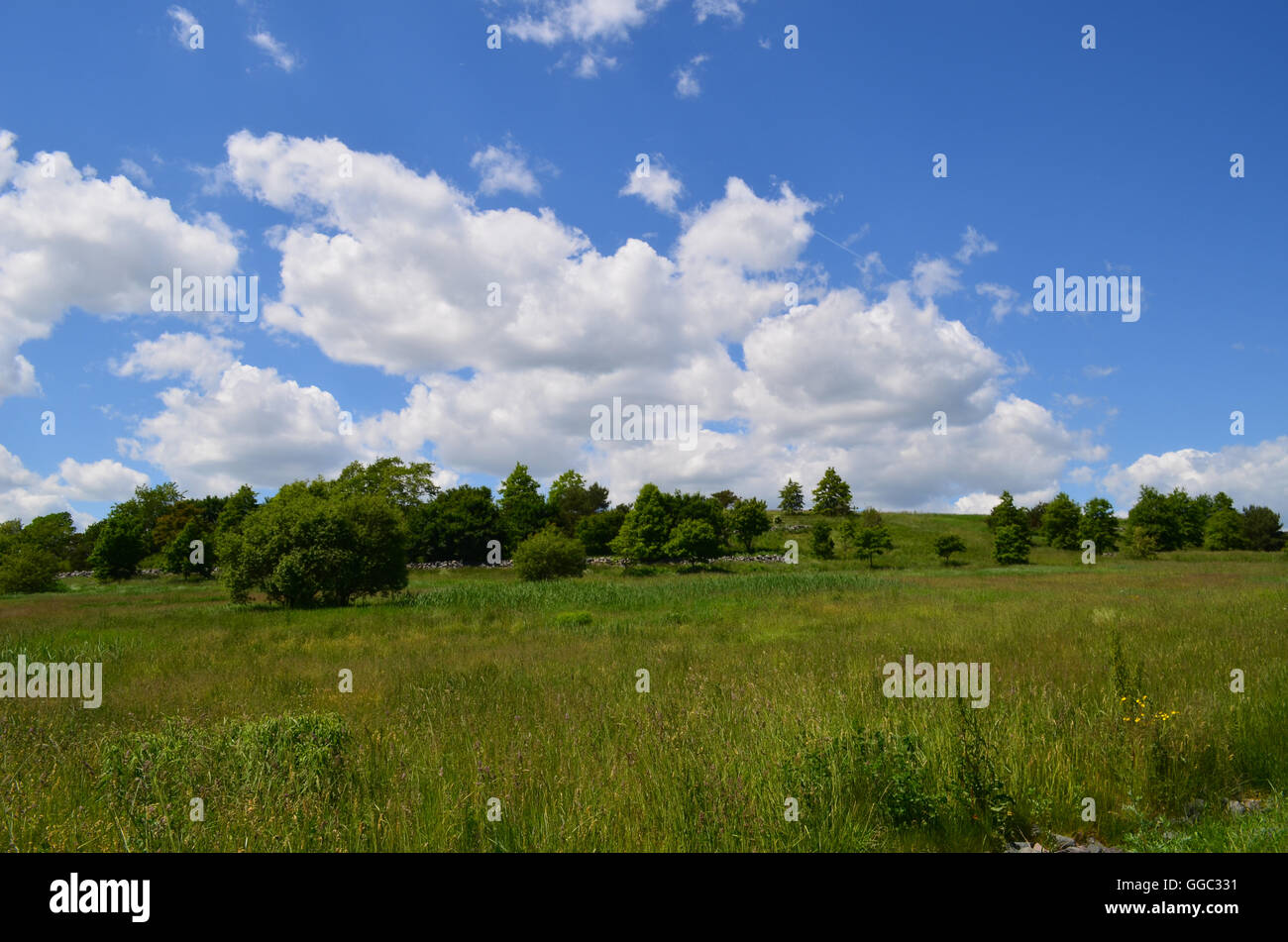 Spectacle Island Massachusetts High Resolution Stock Photography and ...