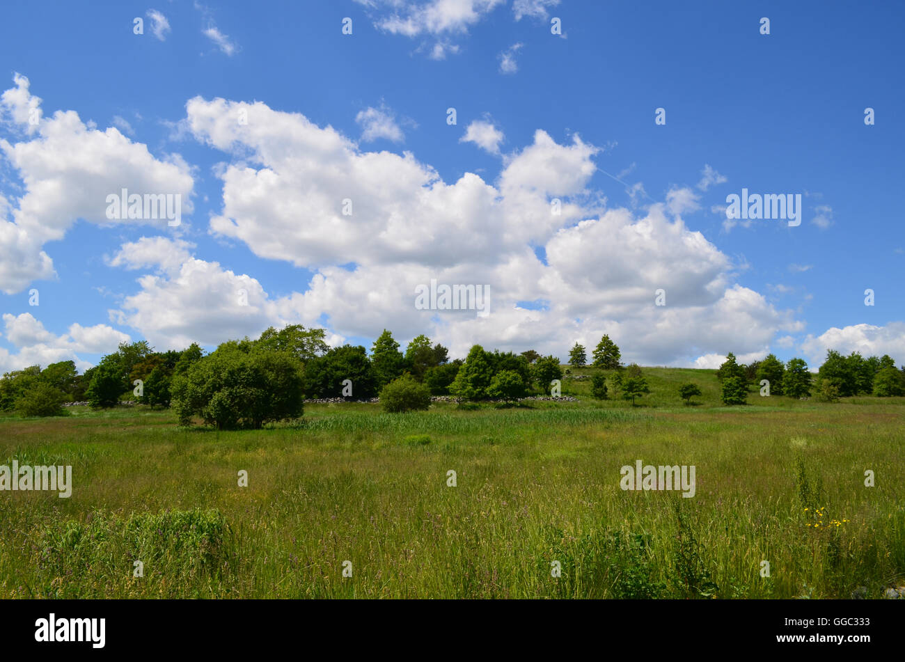 Breathtaking Spectacle Island located in Boston Harbor Stock Photo - Alamy