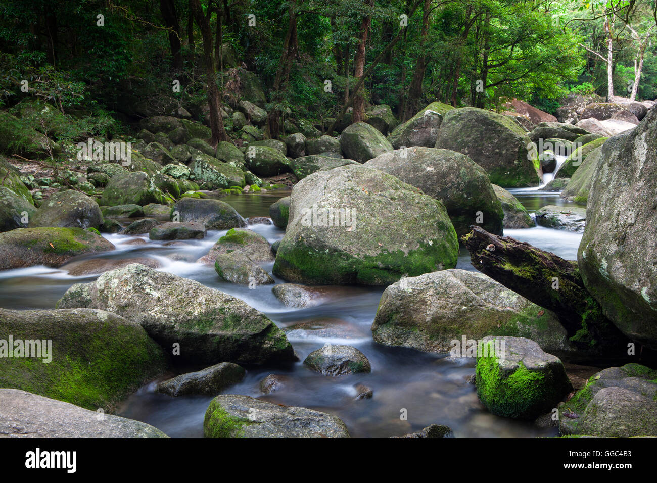 Mossman Gorge, Daintree, Queensland, Australia Stock Photo - Alamy