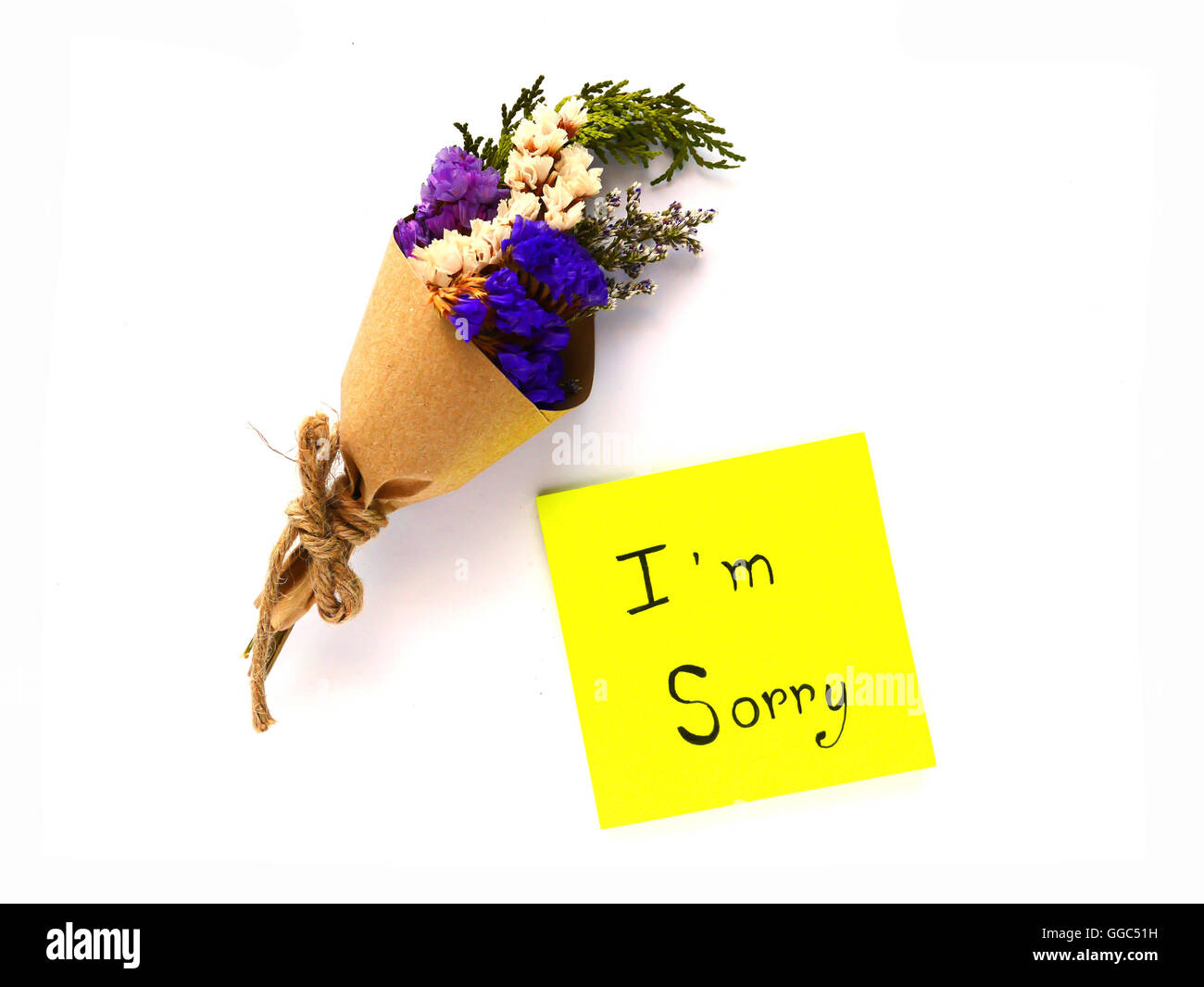 I'm sorry post note and dry bouquet on white background Stock Photo - Alamy