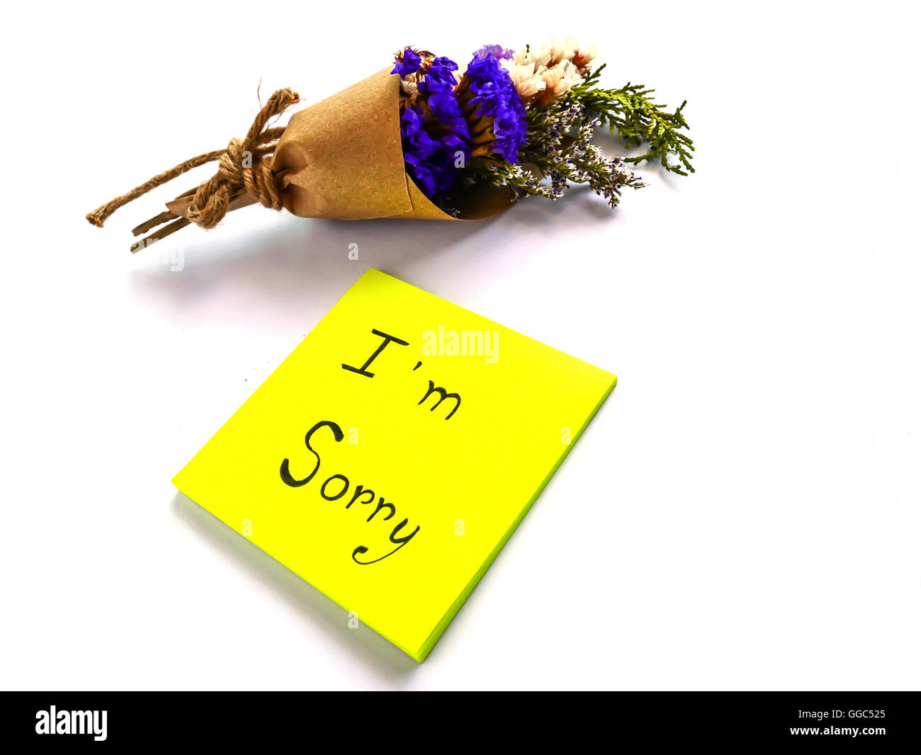 I'm sorry post it and dry bouquet on white background Stock Photo - Alamy