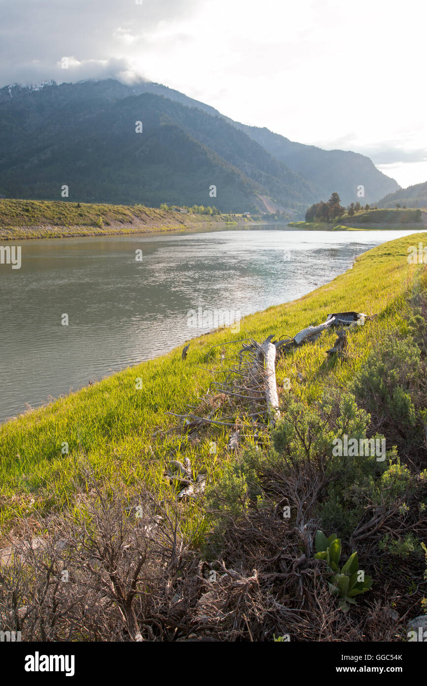 Grassy bank under hi-res stock photography and images - Alamy