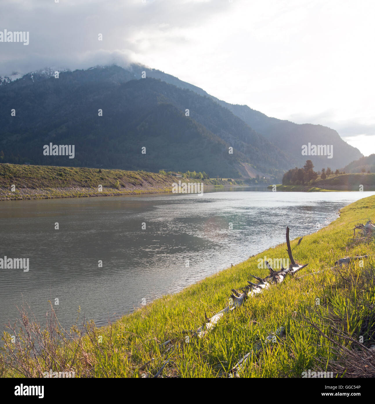 Grassy bank under hi-res stock photography and images - Alamy
