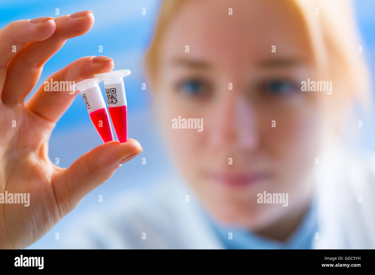 technician in the laboratory with a pipette and test tube Stock Photo ...