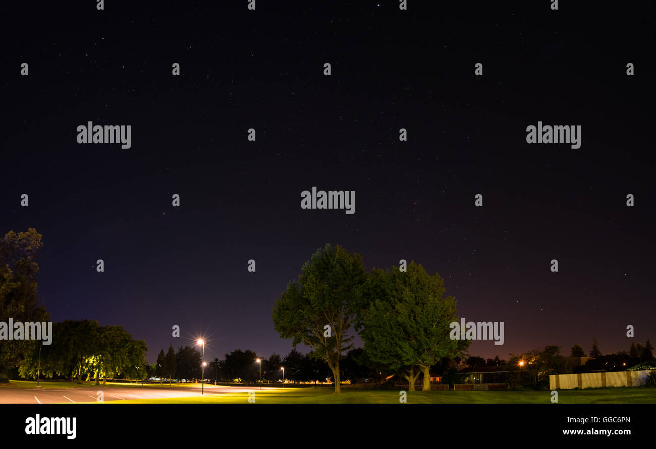 Night sky tree in city Stock Photo - Alamy