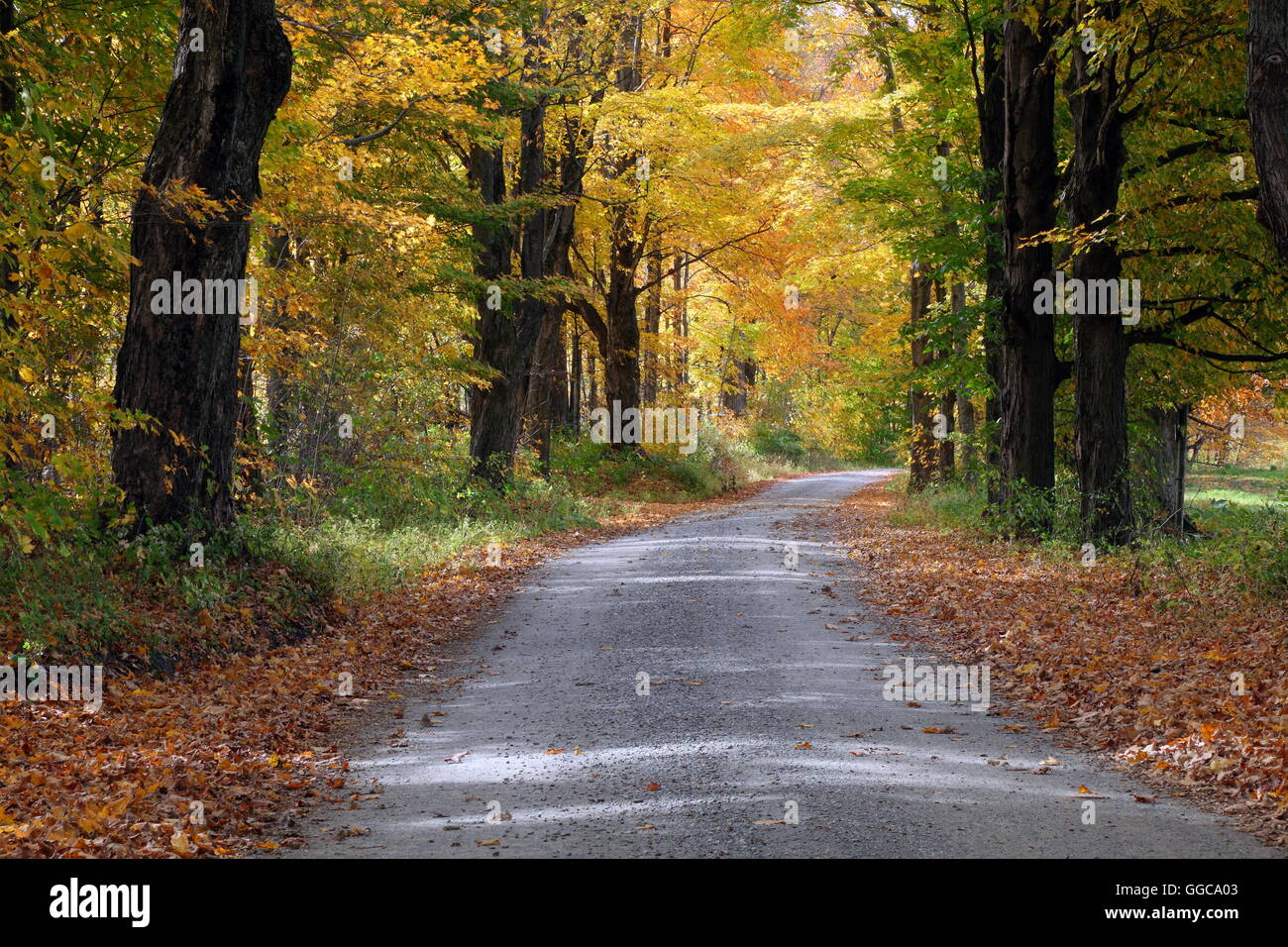Sivoli river hi-res stock photography and images - Alamy