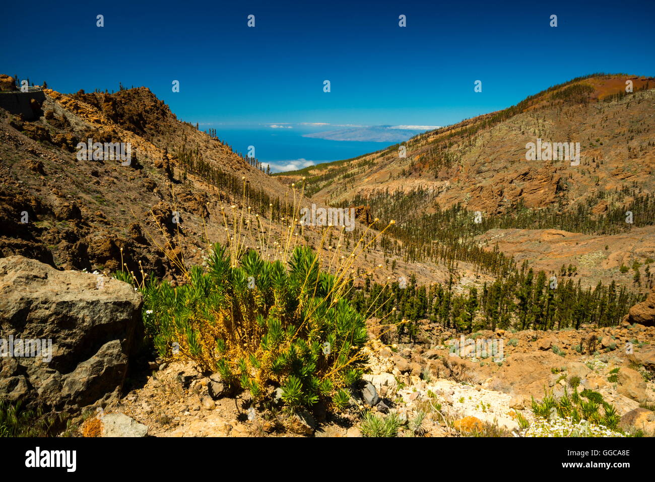 geography / travel, Spain, Teide National Park, Tenerife, Additional ...