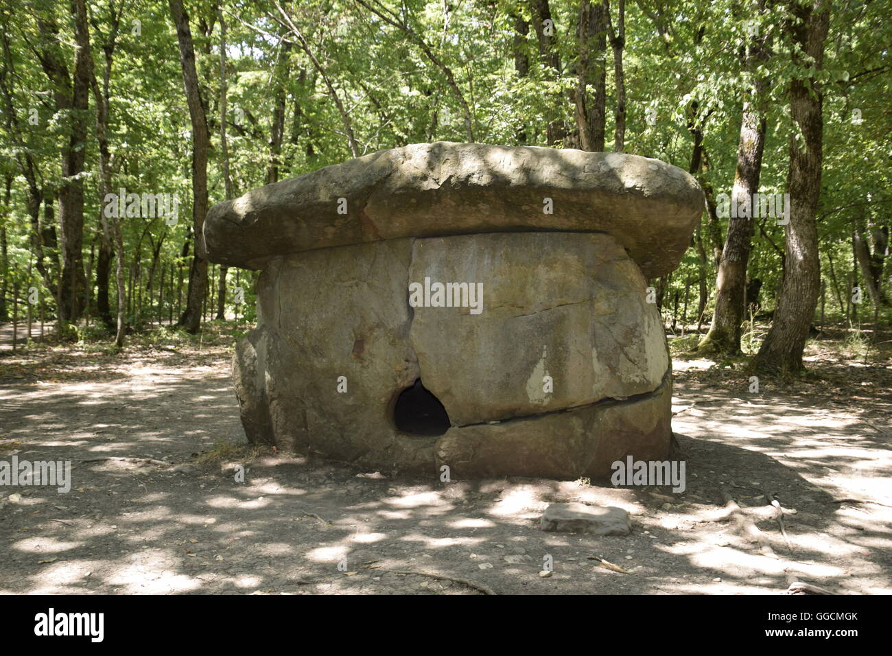 Big Shapsug dolmen. A megalytic construction in the woods of Kuban ...