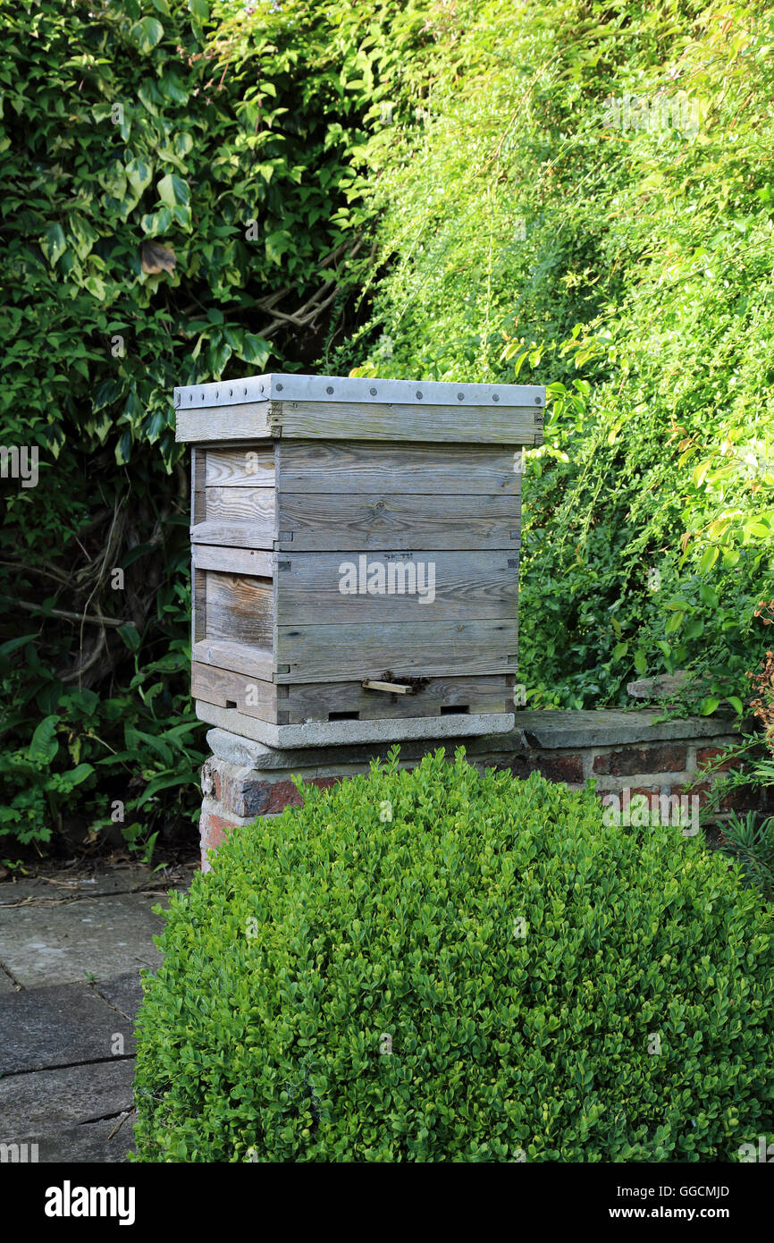 bee hive sitting on garden wall in garden in South Otterington ...